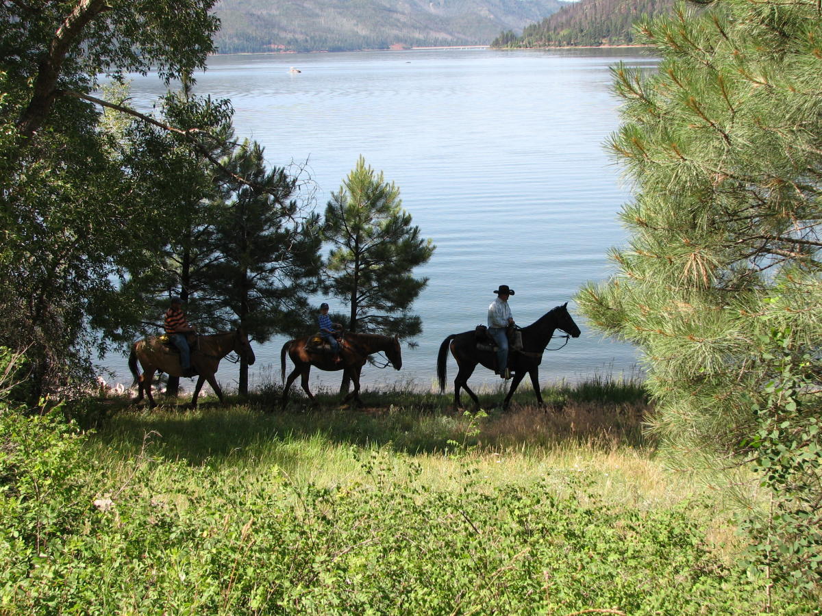 Newsletter Signup | Visit Durango, CO | Official Tourism Site