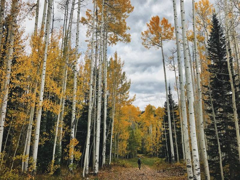 Exploring the Kaleidoscopic Colors of Fall in Durango | Visit Durango ...