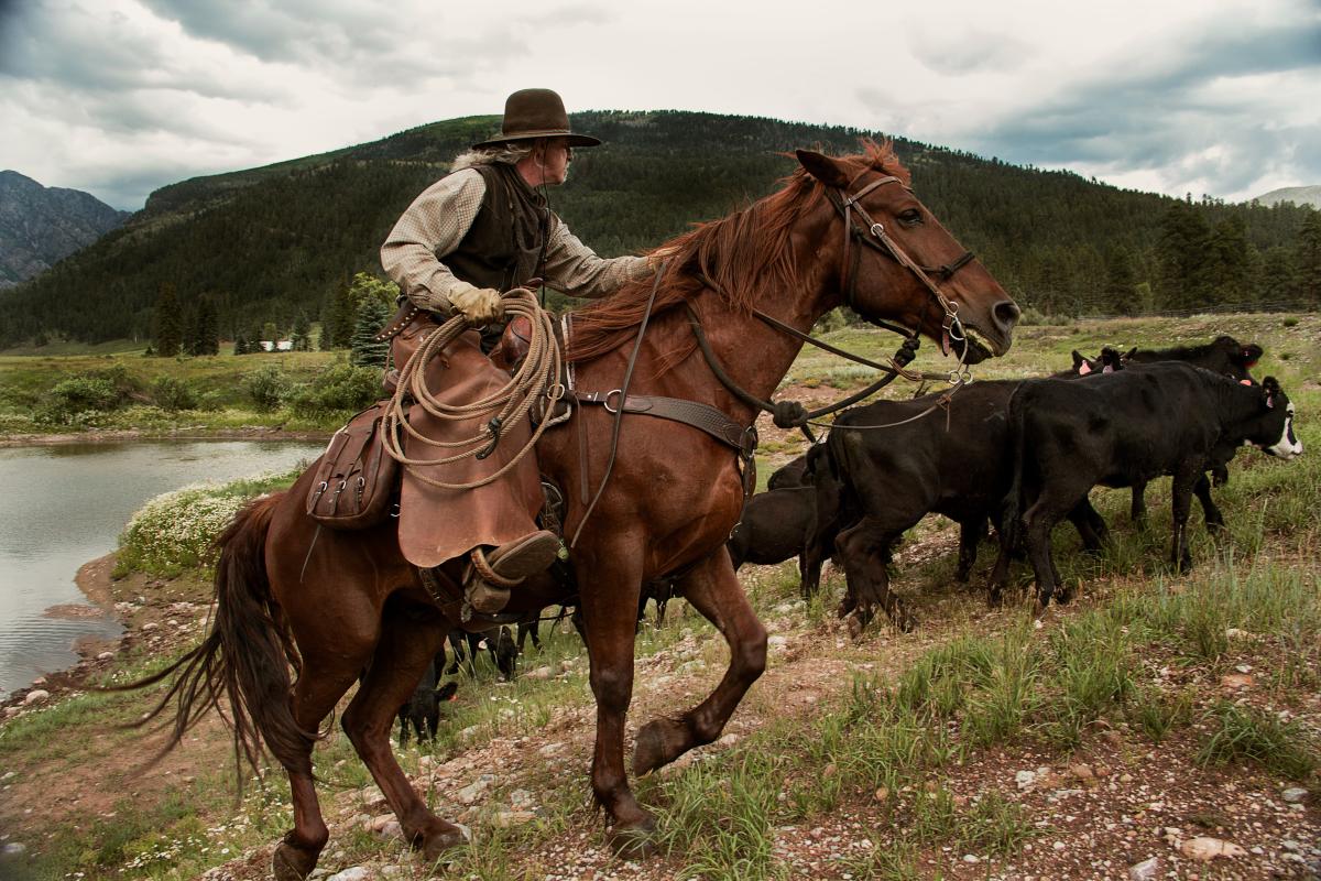 Movies Filmed in Durango | Official Tourism Site of Durango, Colorado