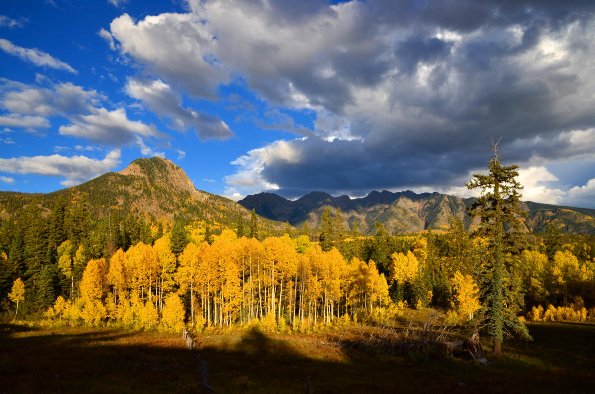 Colorado Fall Colors