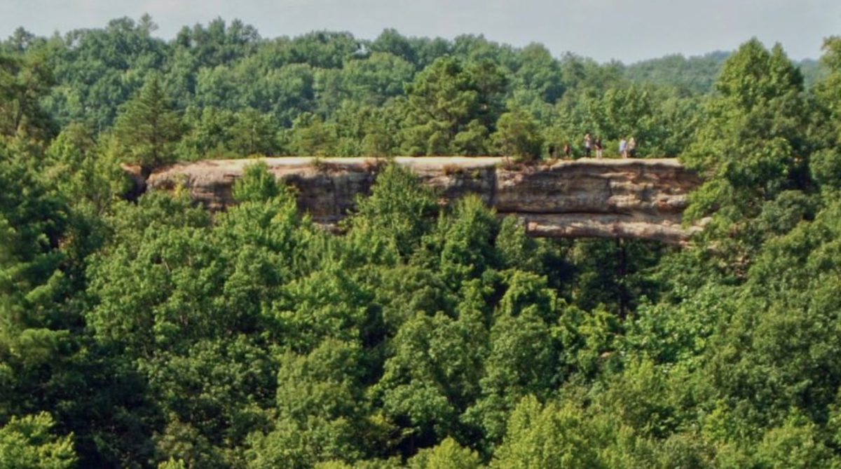 Top Activities In Natural Bridge State Park