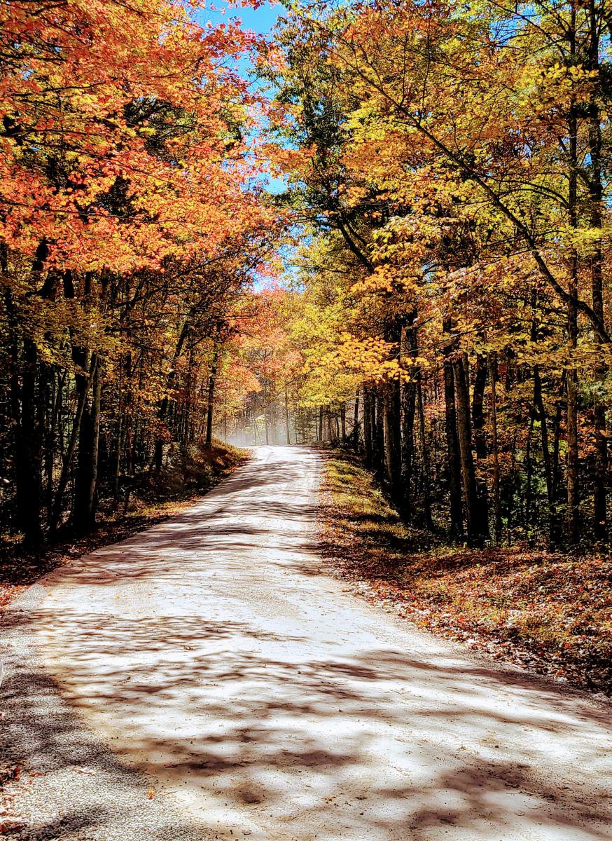 Red River Gorge Scenic Byway Kentucky | Explorekywildlands.com