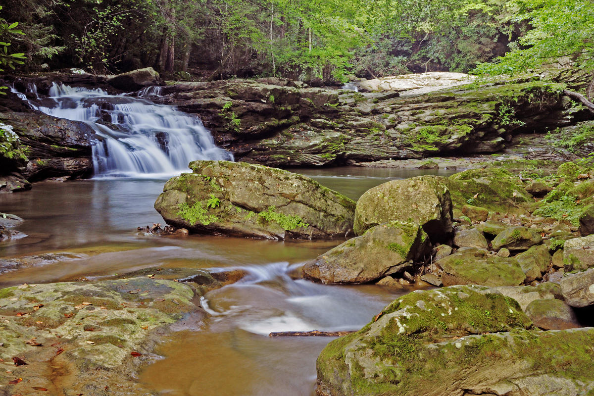 Photo contest | The Kentucky Wildlands images