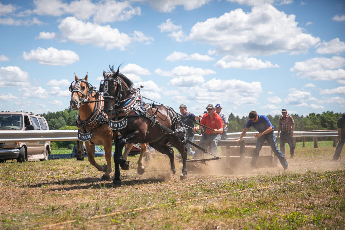 Events, Festivals & Entertainment in Osseo, Wisconsin