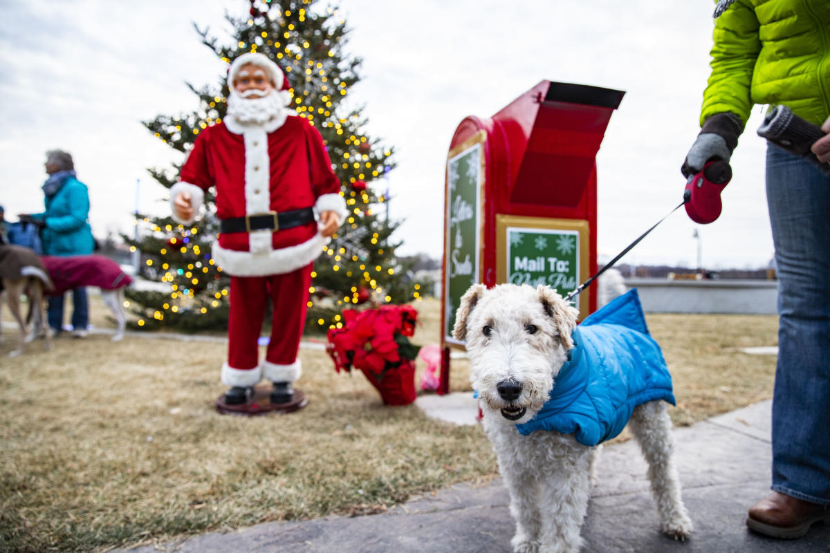Photos with Santa in Eau Claire & the Chippewa Valley