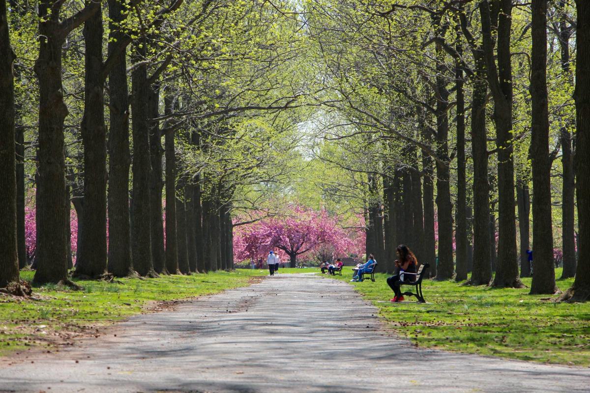 Nature & Outdoors in Elizabeth, NJ | Discover Parks & Trails