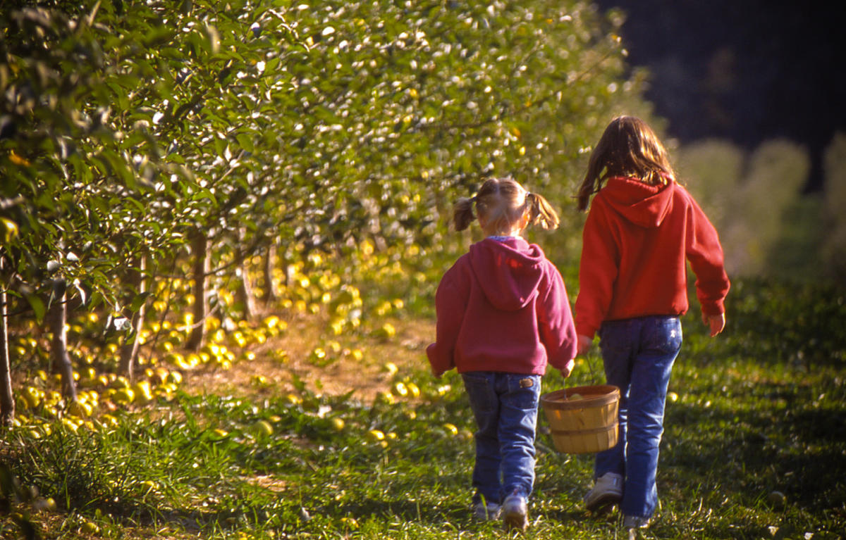 Press & Media Highlights