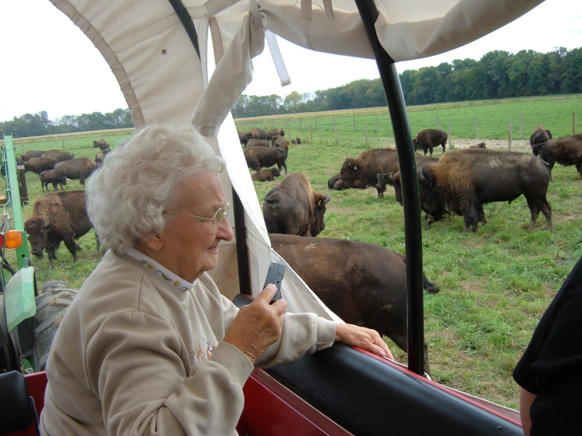 Boats, Bison & BBQ June 16