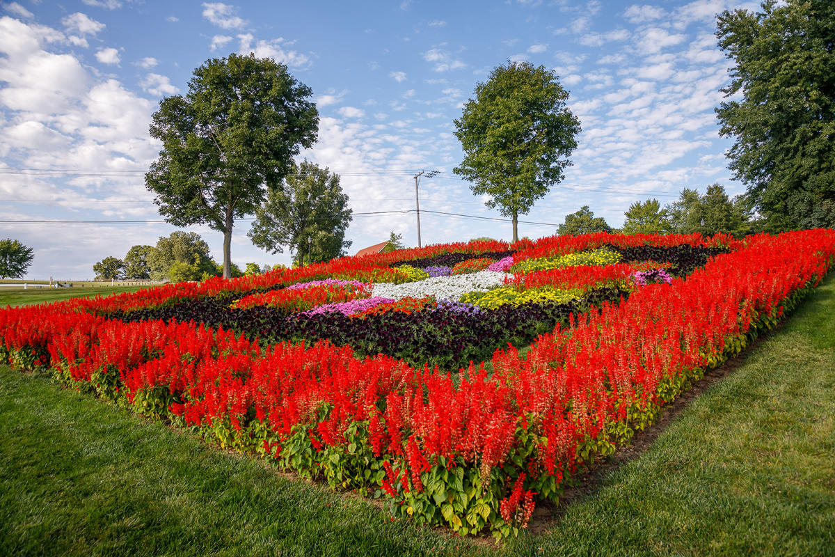 Everything You Need to Know About the Quilt Gardens