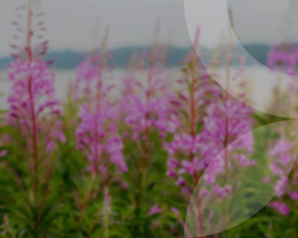 Burns Rent-Alls | Mishawaka, IN 46545