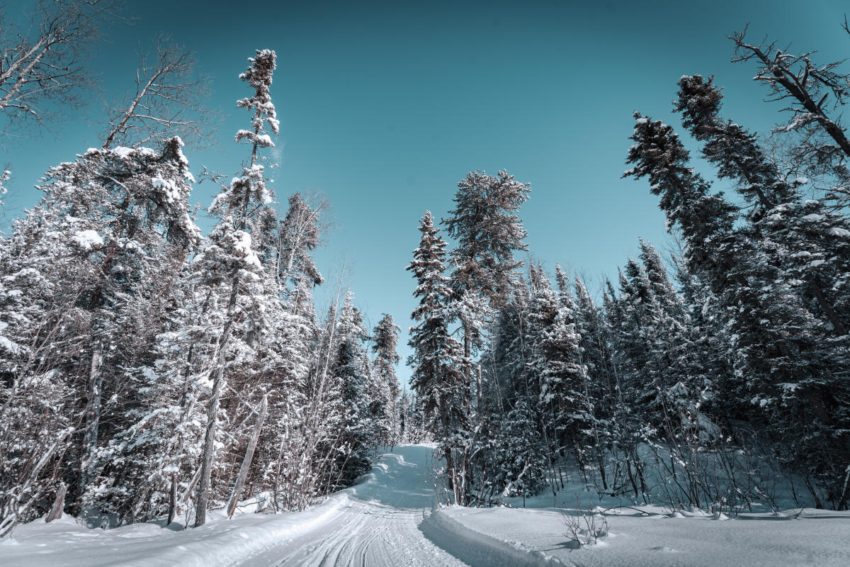 Ely, MN Winter Lodging