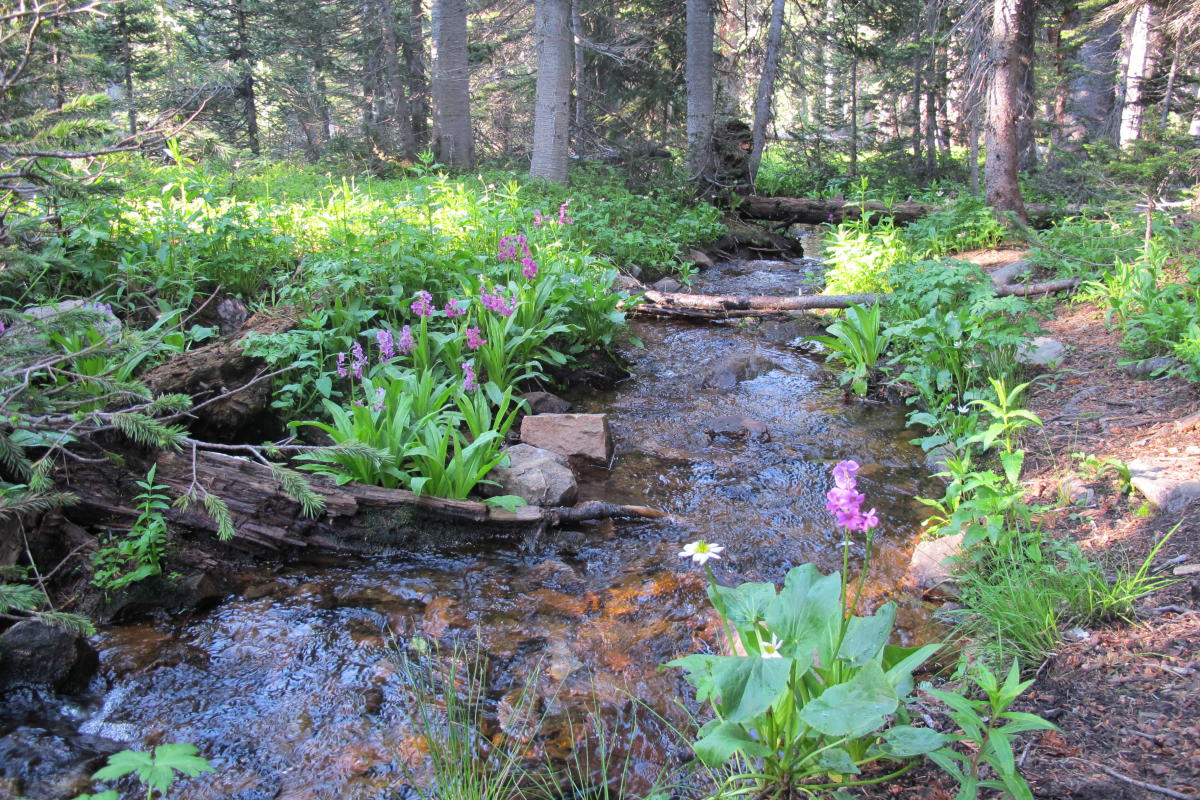 Estes Park Spring Hiking Guide