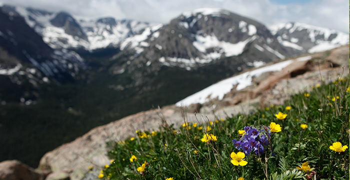 What's New in Estes Park: Spring-Summer 2014