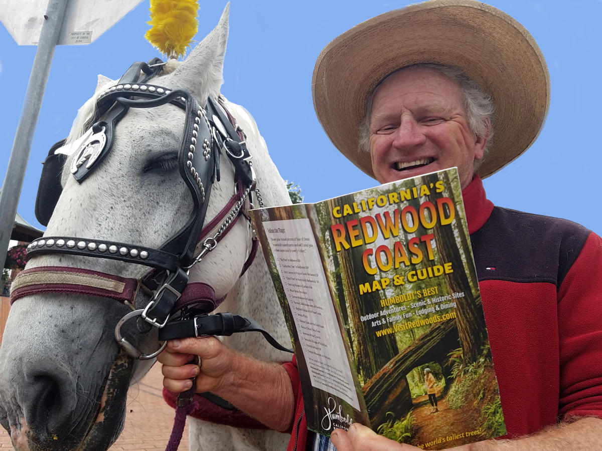 Request BULK Map & Guide