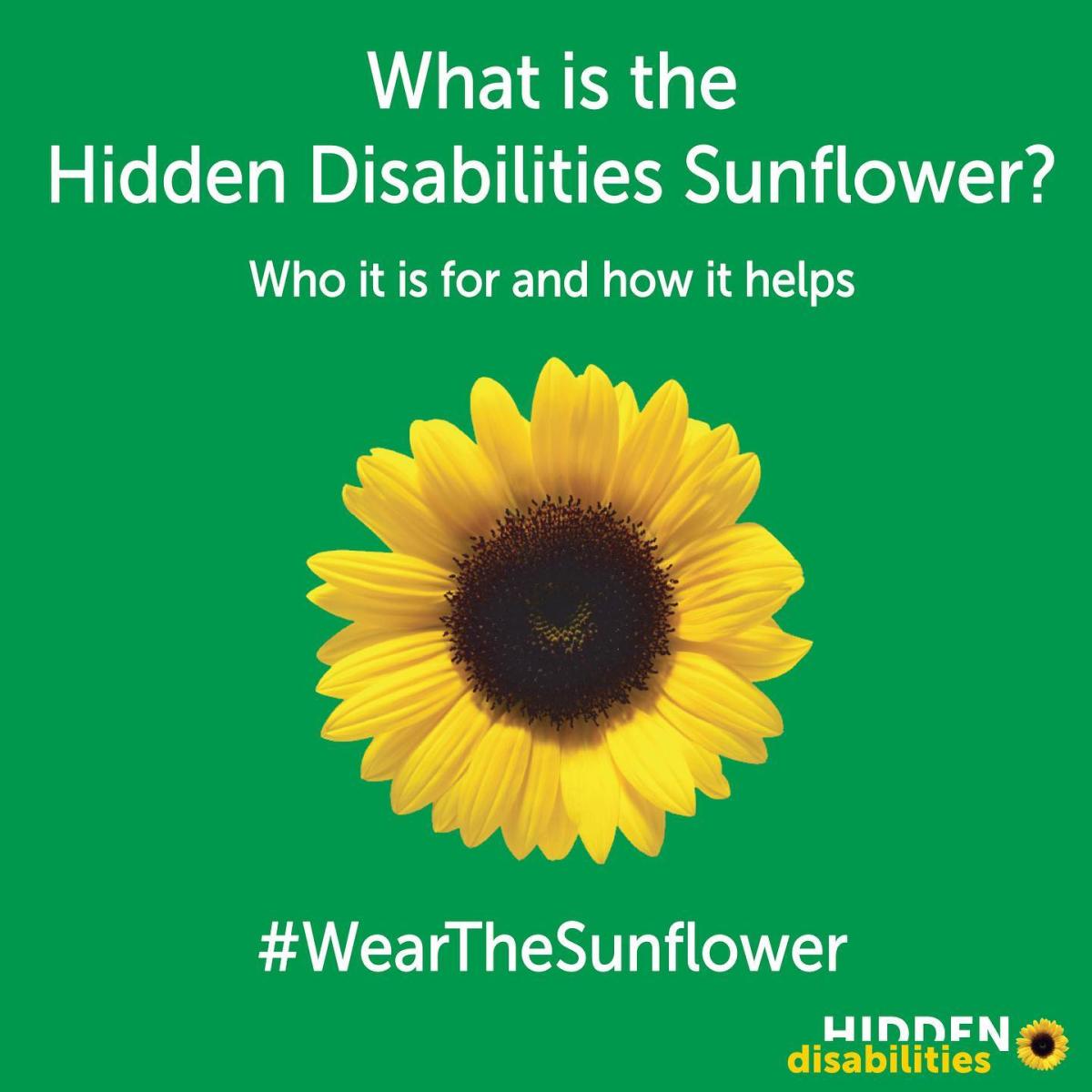 Hidden Disabilities Program Takes Flight