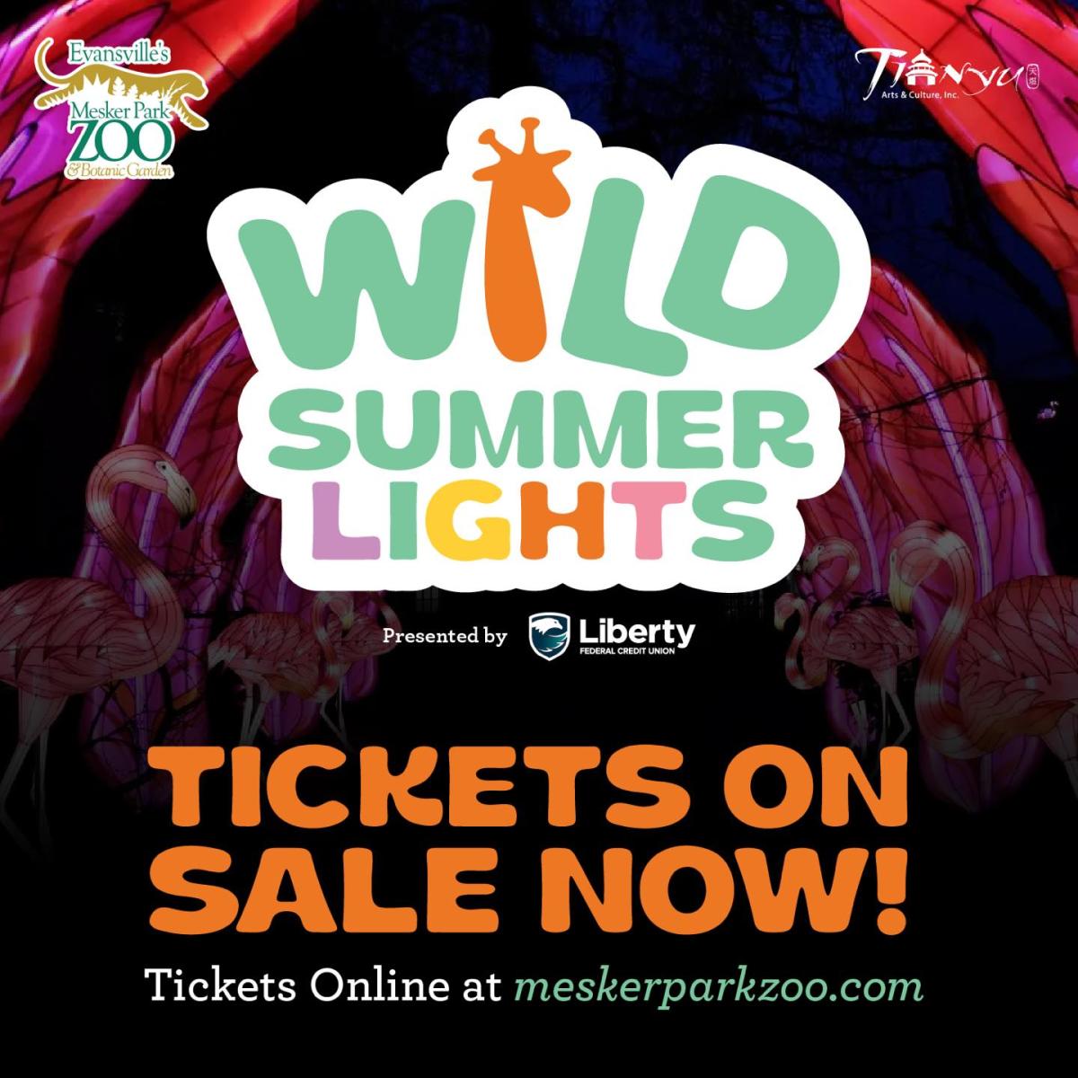 Wild Summer Lights
