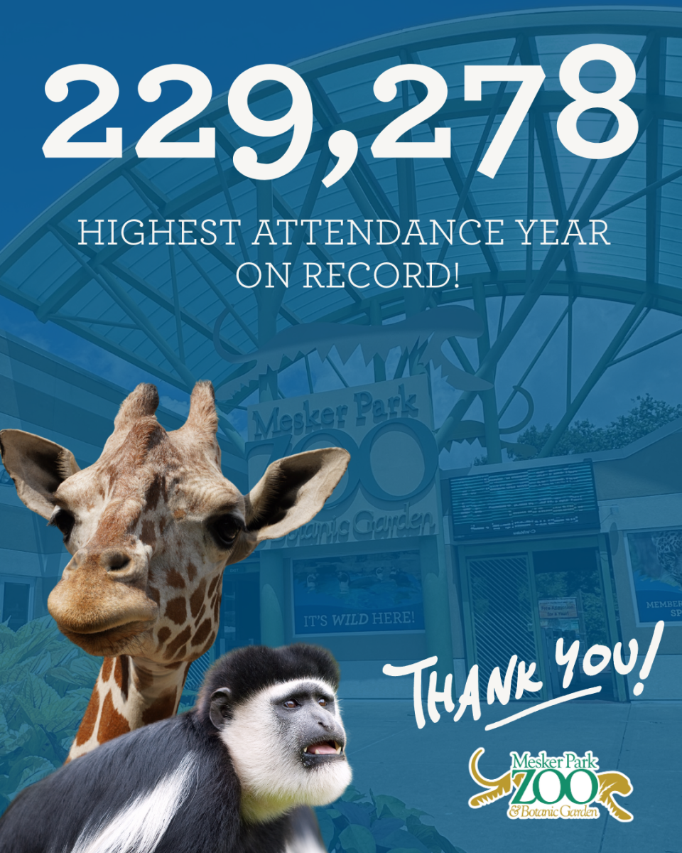 Big Crowds, Bright Lights, and a Record Year at Mesker Park Zoo