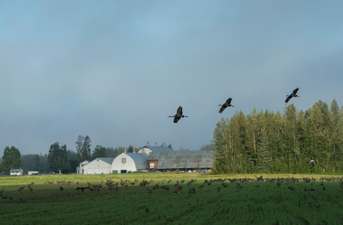 Events & Entertainment | Explore Fairbanks, Alaska