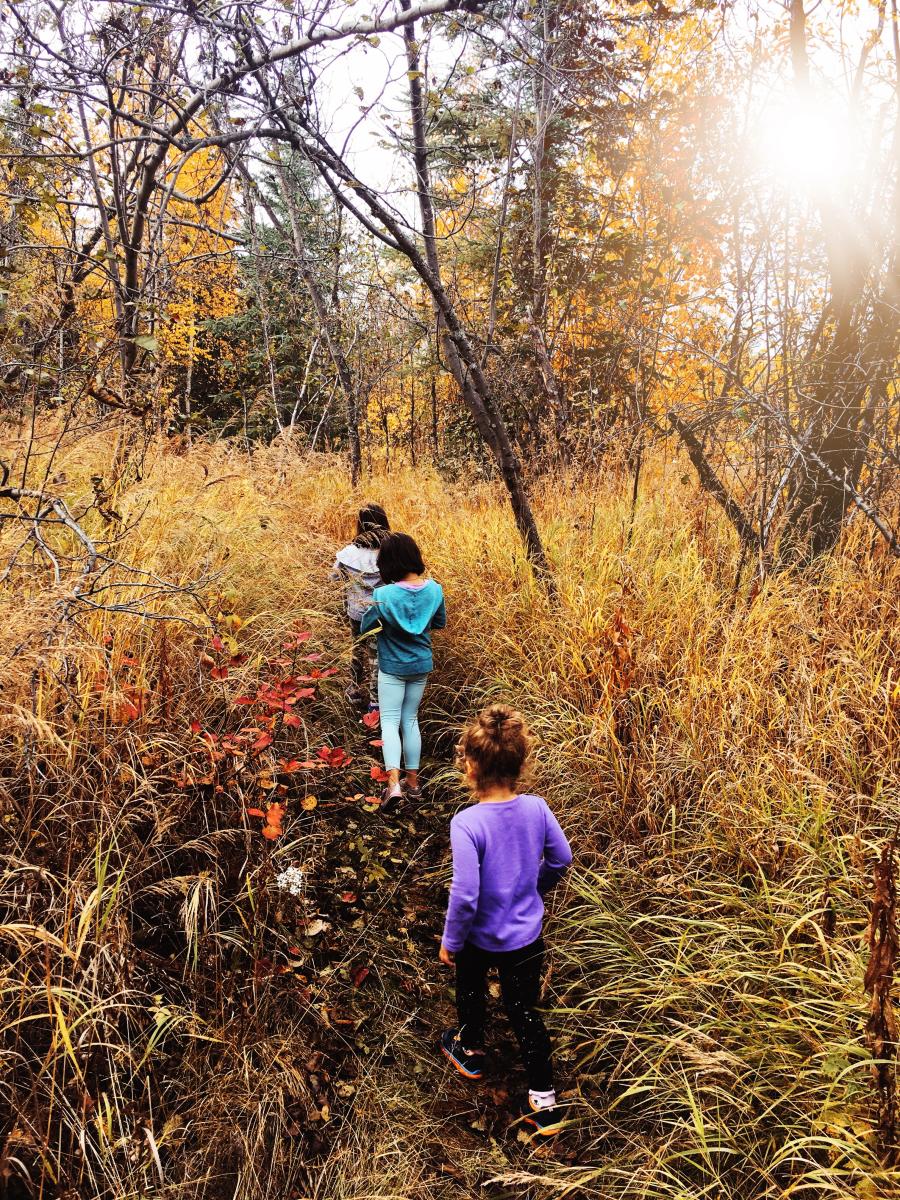 5 Fun Fall Things To Do In Fairbanks | Explore Fairbanks