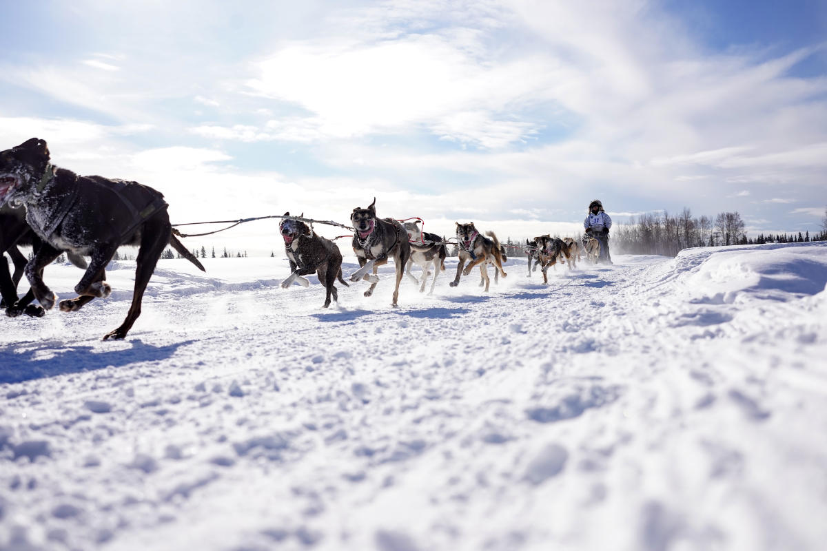 Events & Entertainment | Explore Fairbanks, Alaska
