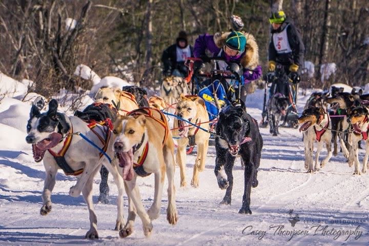 Sled Dog Racing | Explore Fairbanks, Alaska