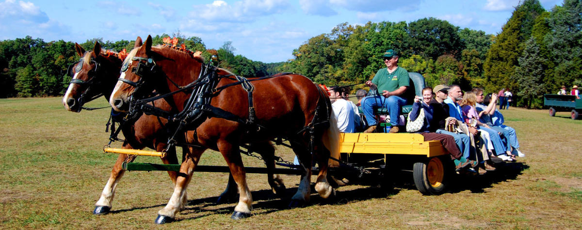 Submit Your Event - Events in Fairfax Virginia | Fairfax County, VA