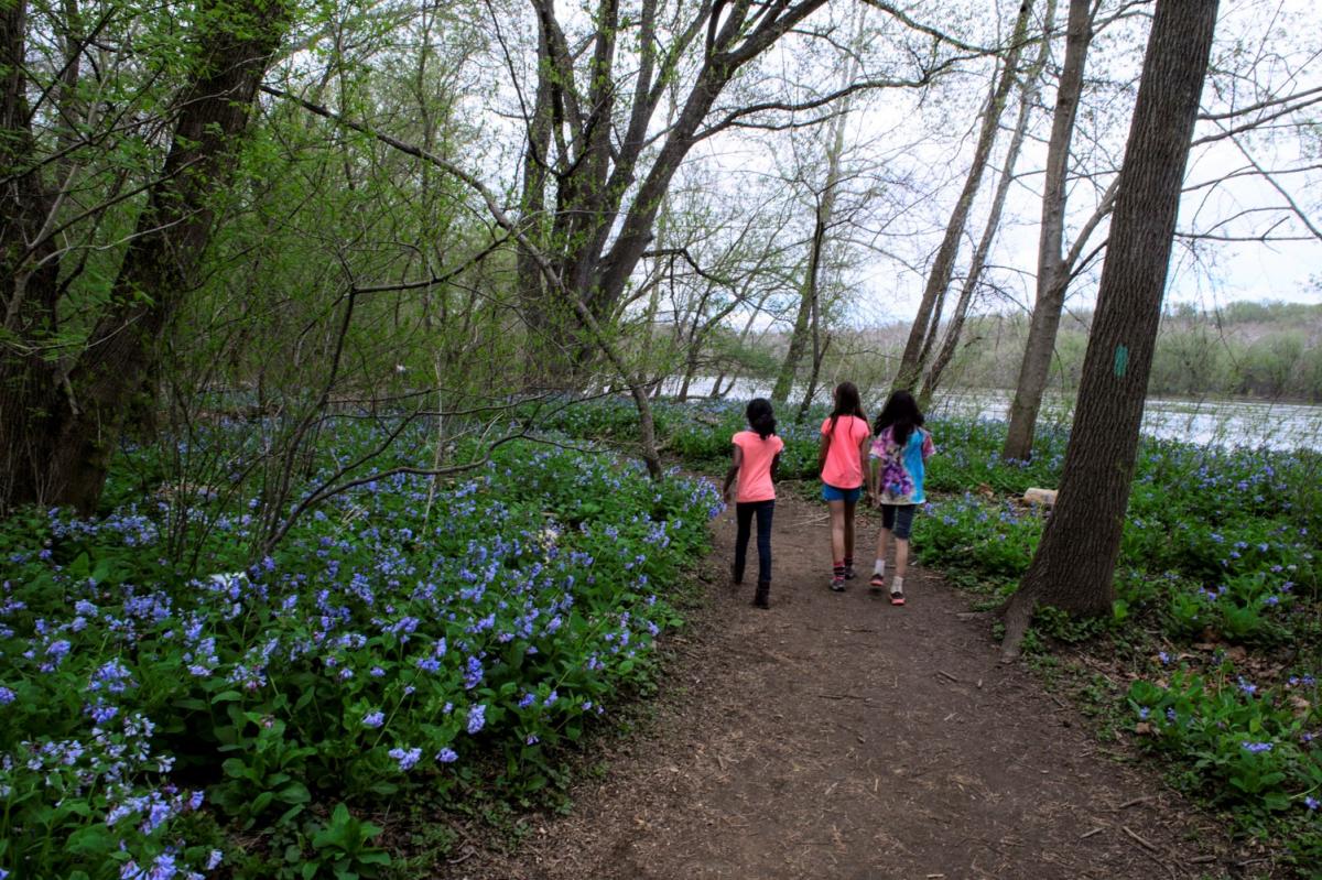 Spring Break Ideas On a Budget in Northern Virginia | Visit Fairfax
