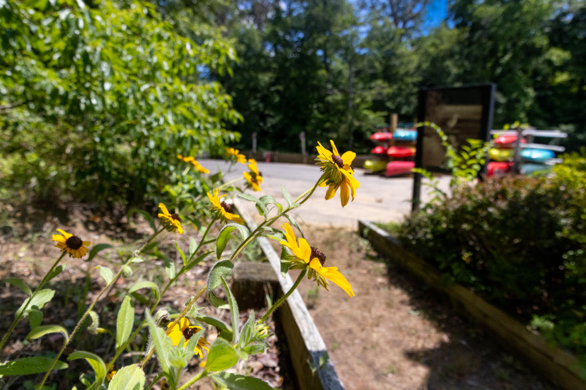 May Events & Things to Do in Northern Virginia | Visit Fairfax