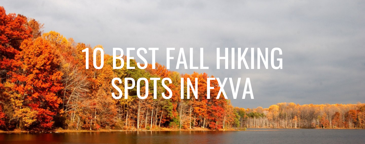 Top 10 Best Fall Hikes in Northern Virginia | Visit Fairfax