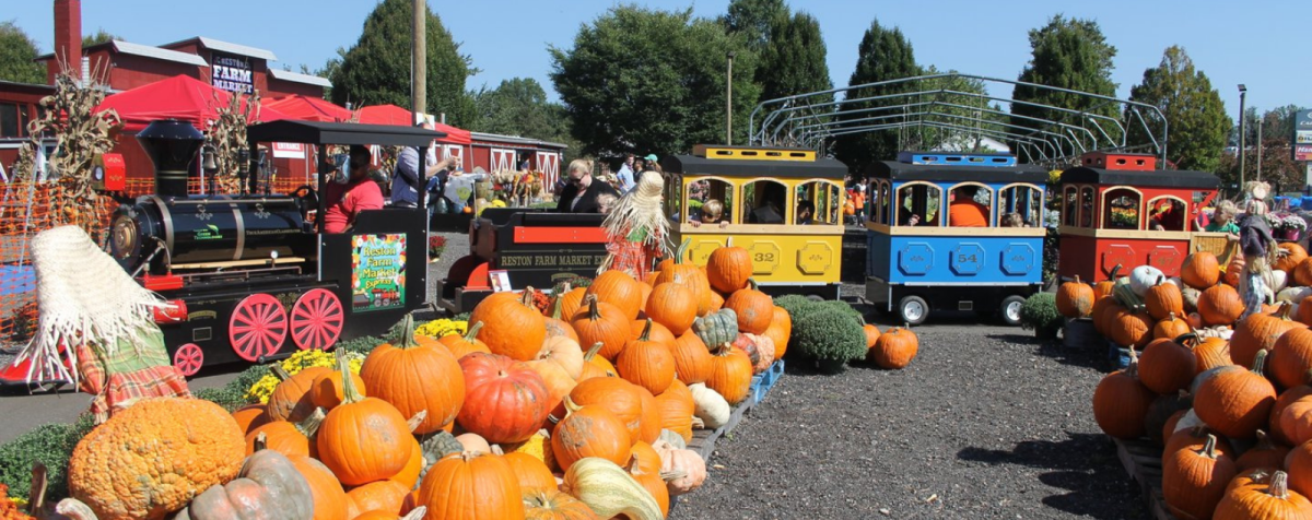 Things To Do This Weekend - Events & More | Visit Fairfax