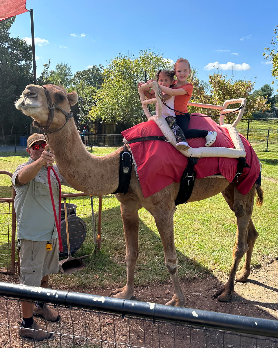 Best Animal Encounters & Petting Zoos in Fairfax | FXVA