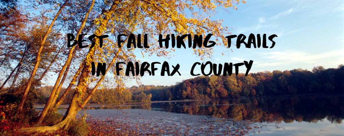Best Fall Hiking in Northern VA - 10 Best Hiking Trails in Northern VA ...