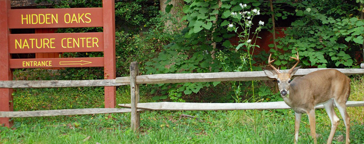 Explore Annandale, VA - Vacation to Annandale | Visit Fairfax