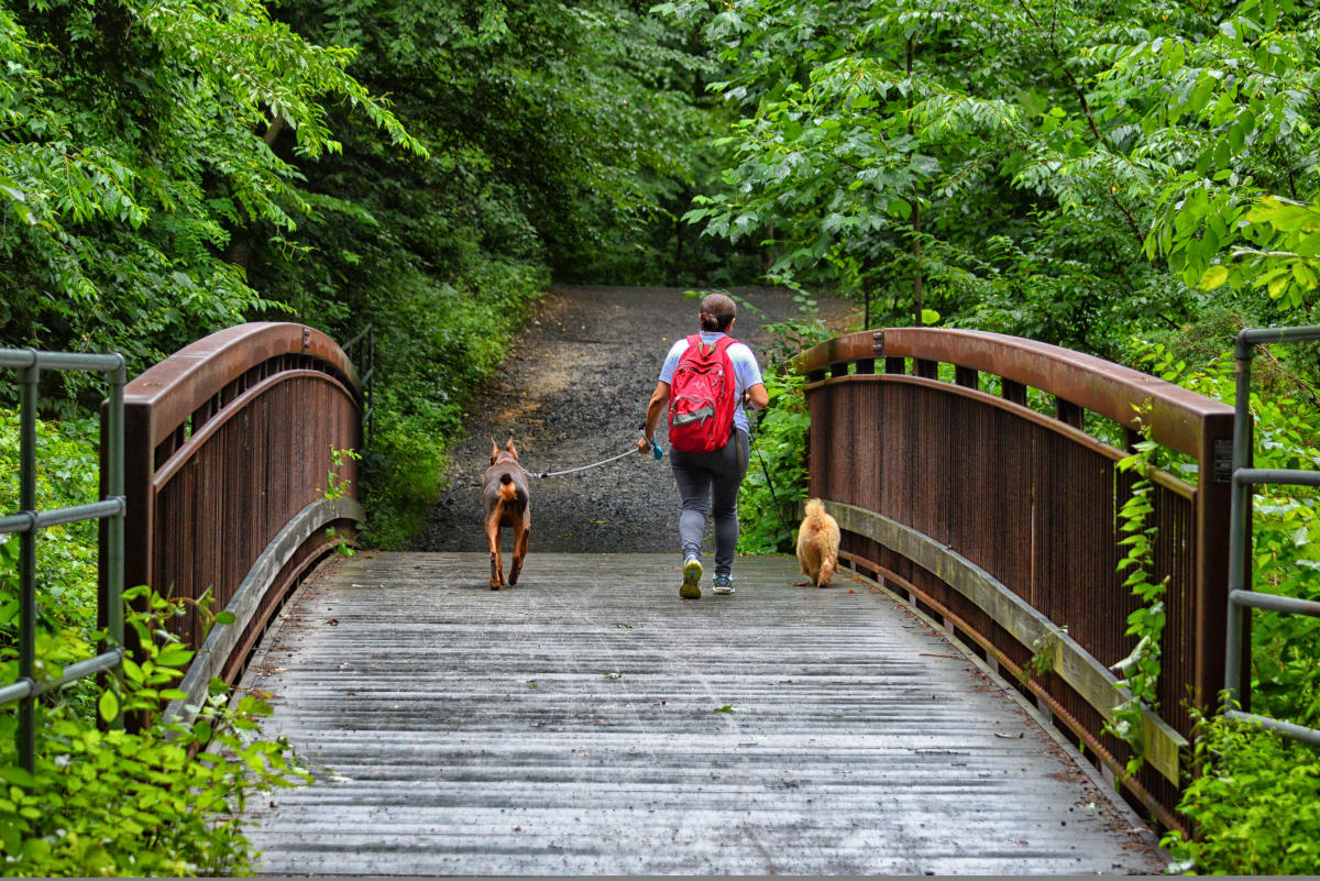 Outdoor Recreation and Activities | Fairfax County, VA