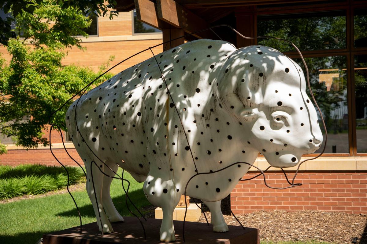 Where to find the Painted Bison Statues in Fargo