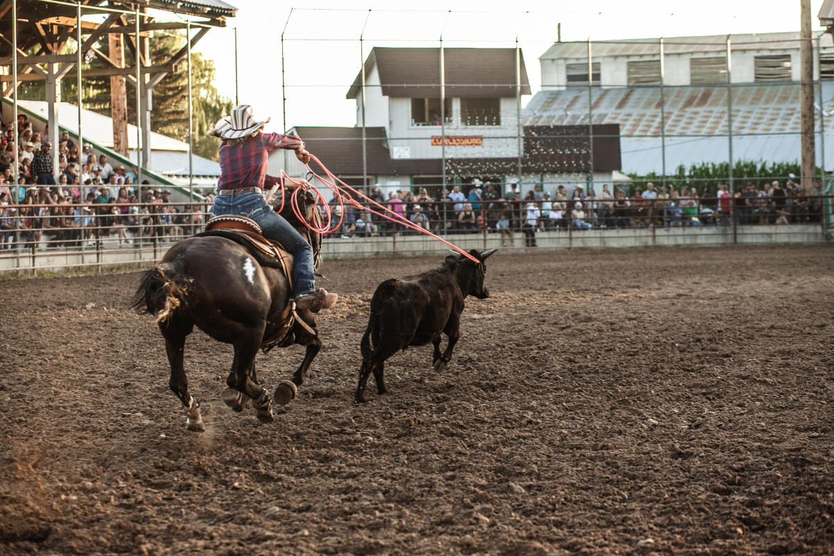 7th Annual National Day of the Cowboy Rodeo July 23-24