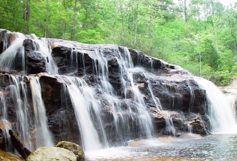 Surprising Facts About Fayetteville, North Carolina - Go Fayetteville
