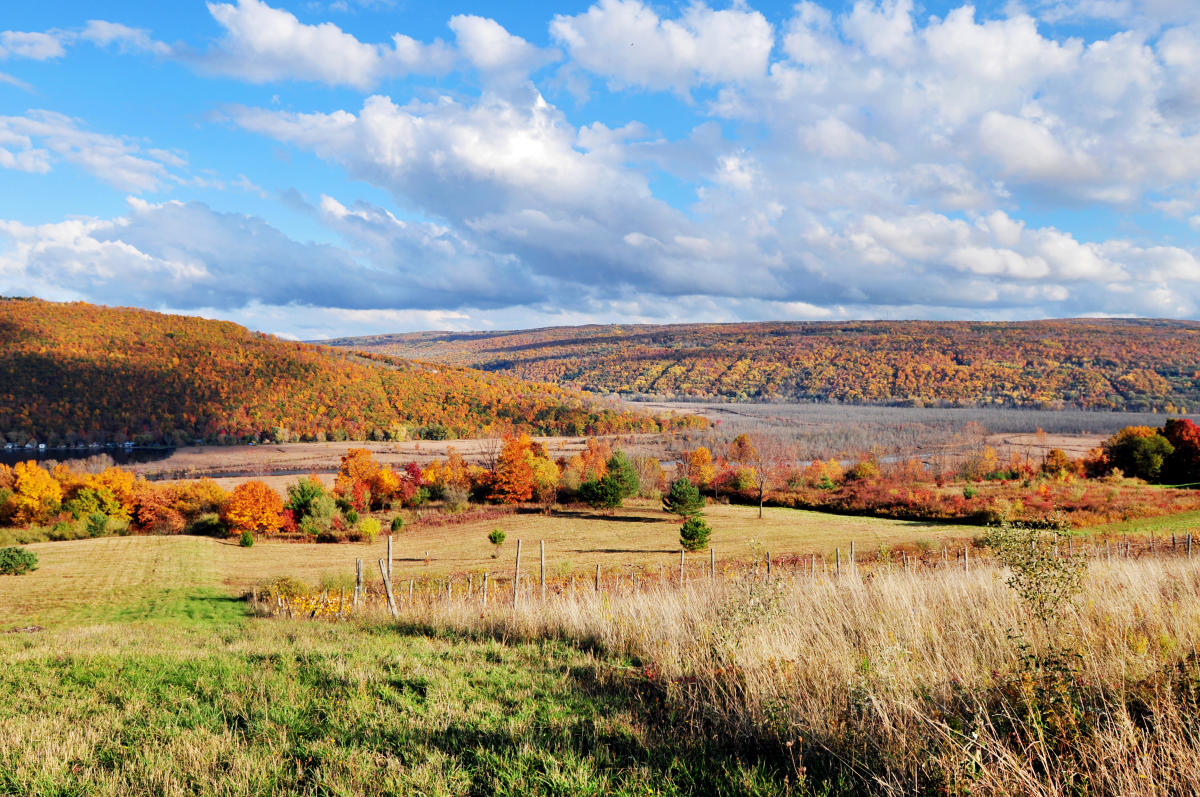 Finger Lakes Frequently Asked Questions | Finger Lakes Trip Planning