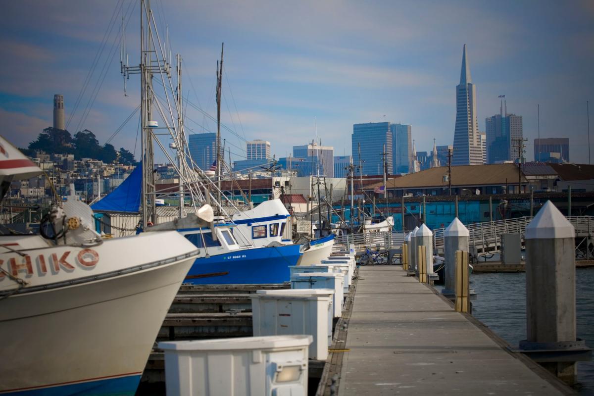 The Wharf's Fishing Fleet - Fisherman's Wharf San Francisco