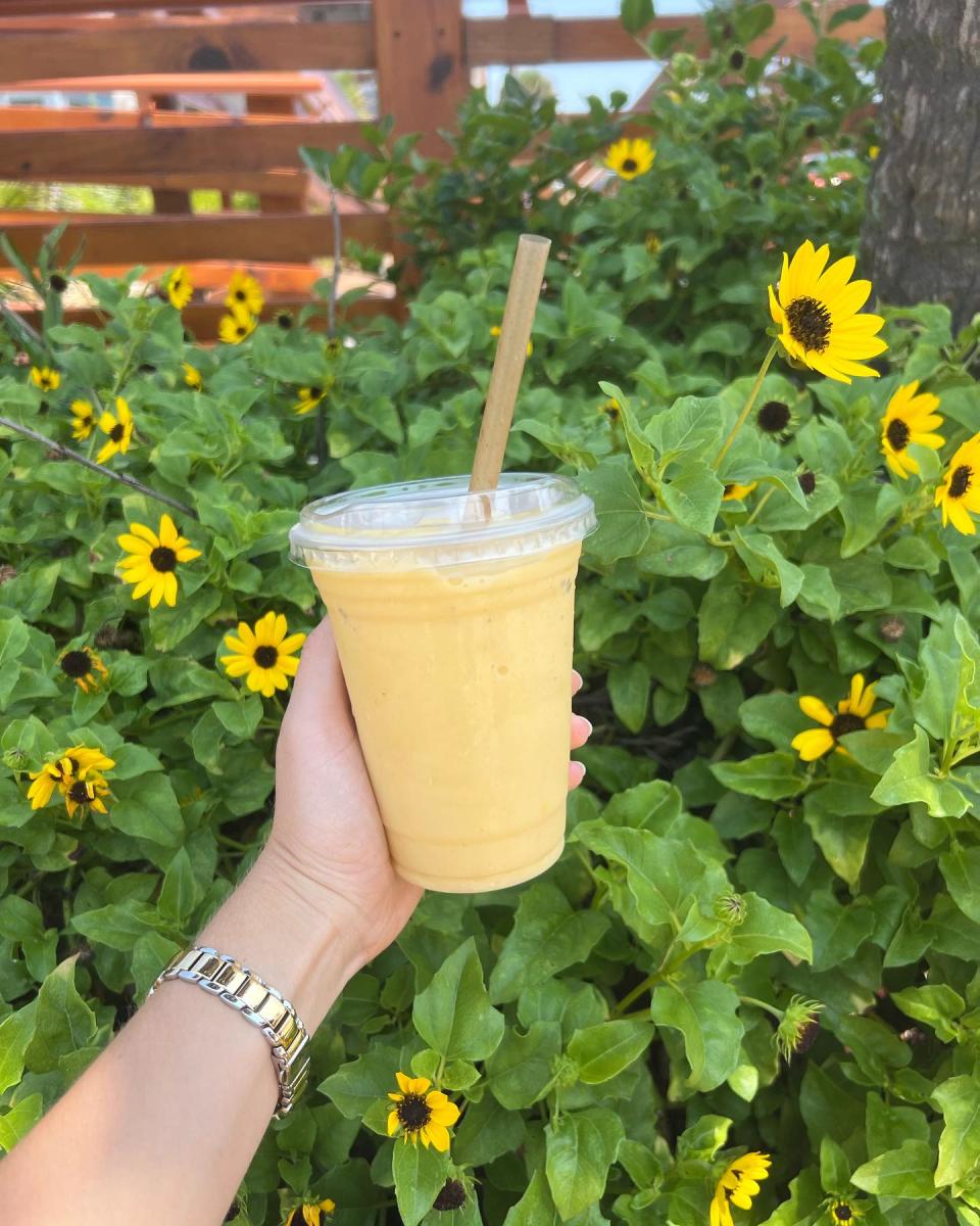 Top Smoothies in The Palm Coast | Treats in Flagler Beaches