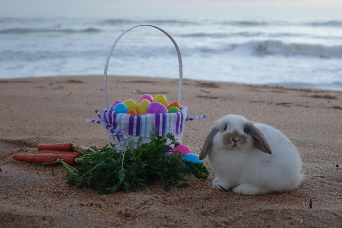 Easter Events in Palm Coast | Family Fun & Festive Dining