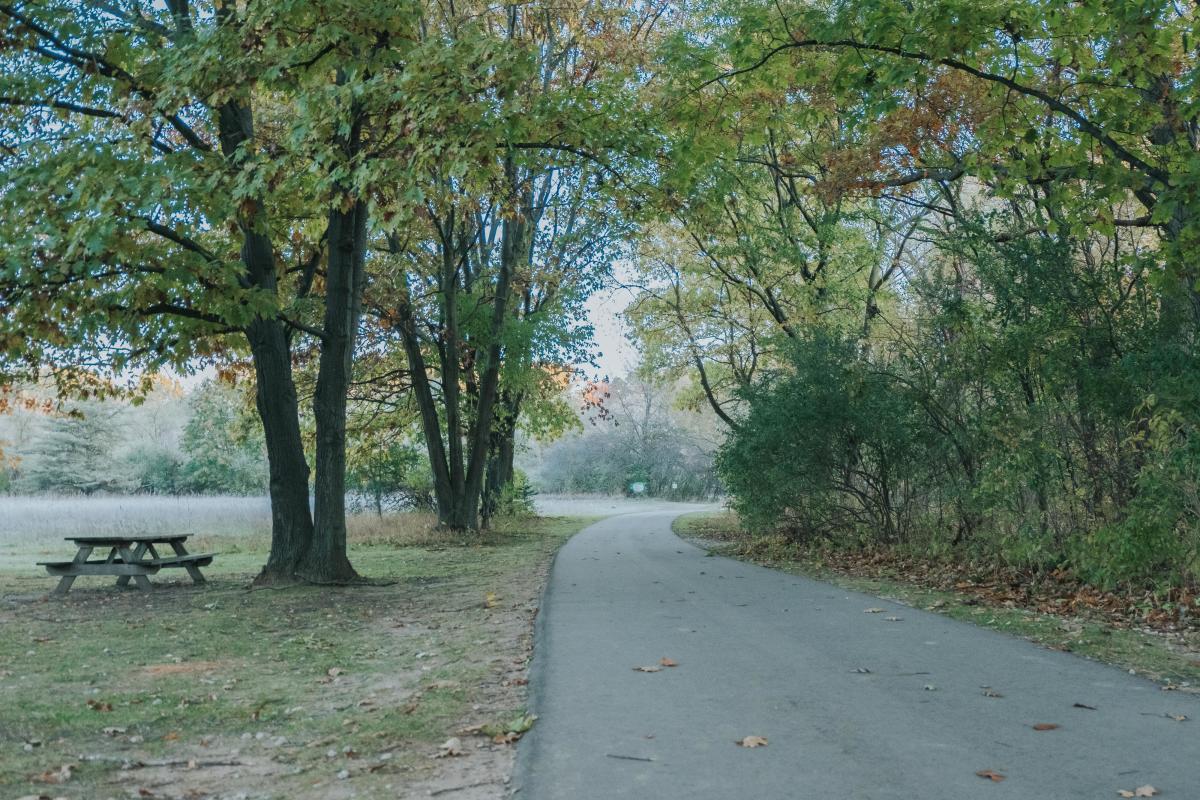 Jump into Spring with These Activities