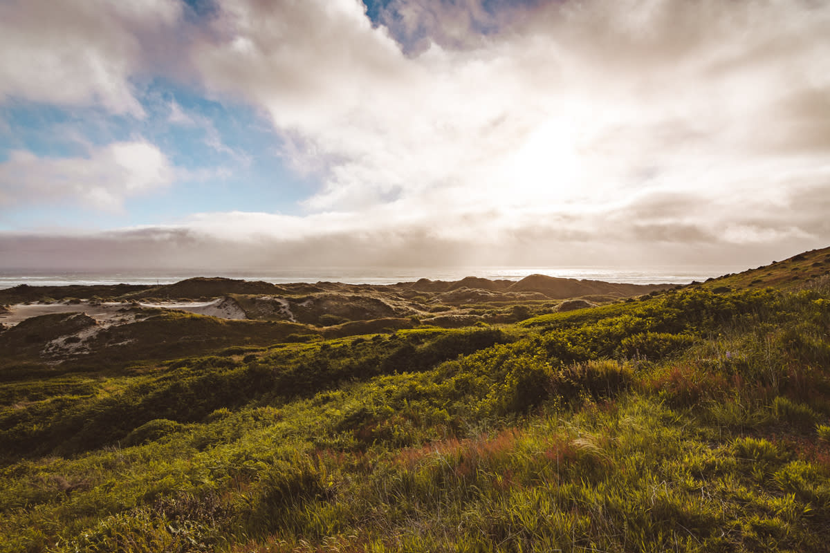 State of Oregon Resources