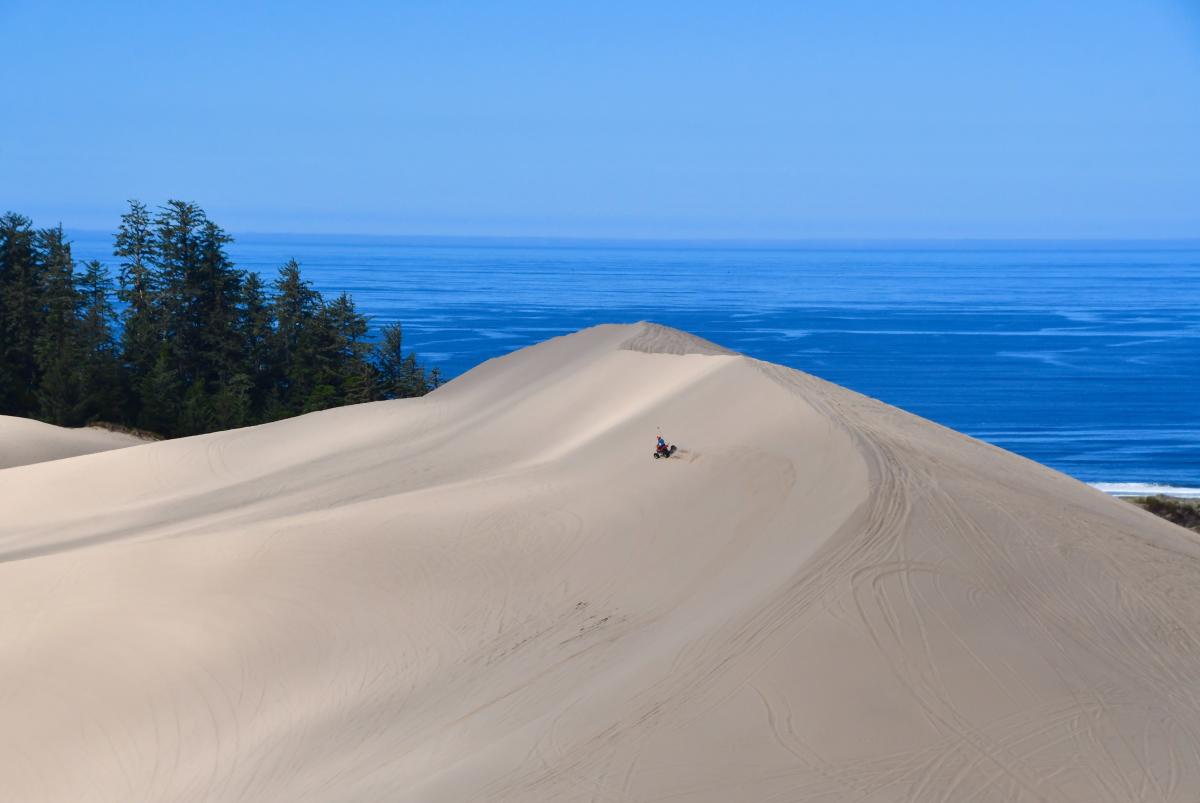 Dunes in Oregon | Florence’s Natural Sand Adventure Park