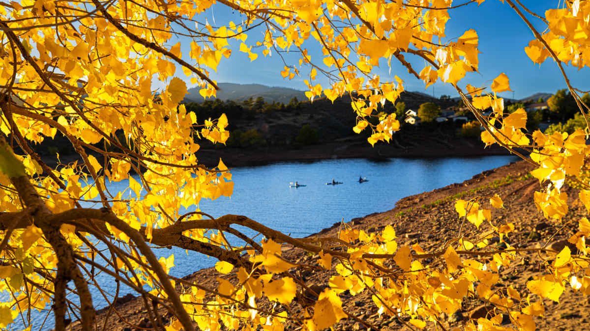 Top Spots for Fall Colors in Fort Collins