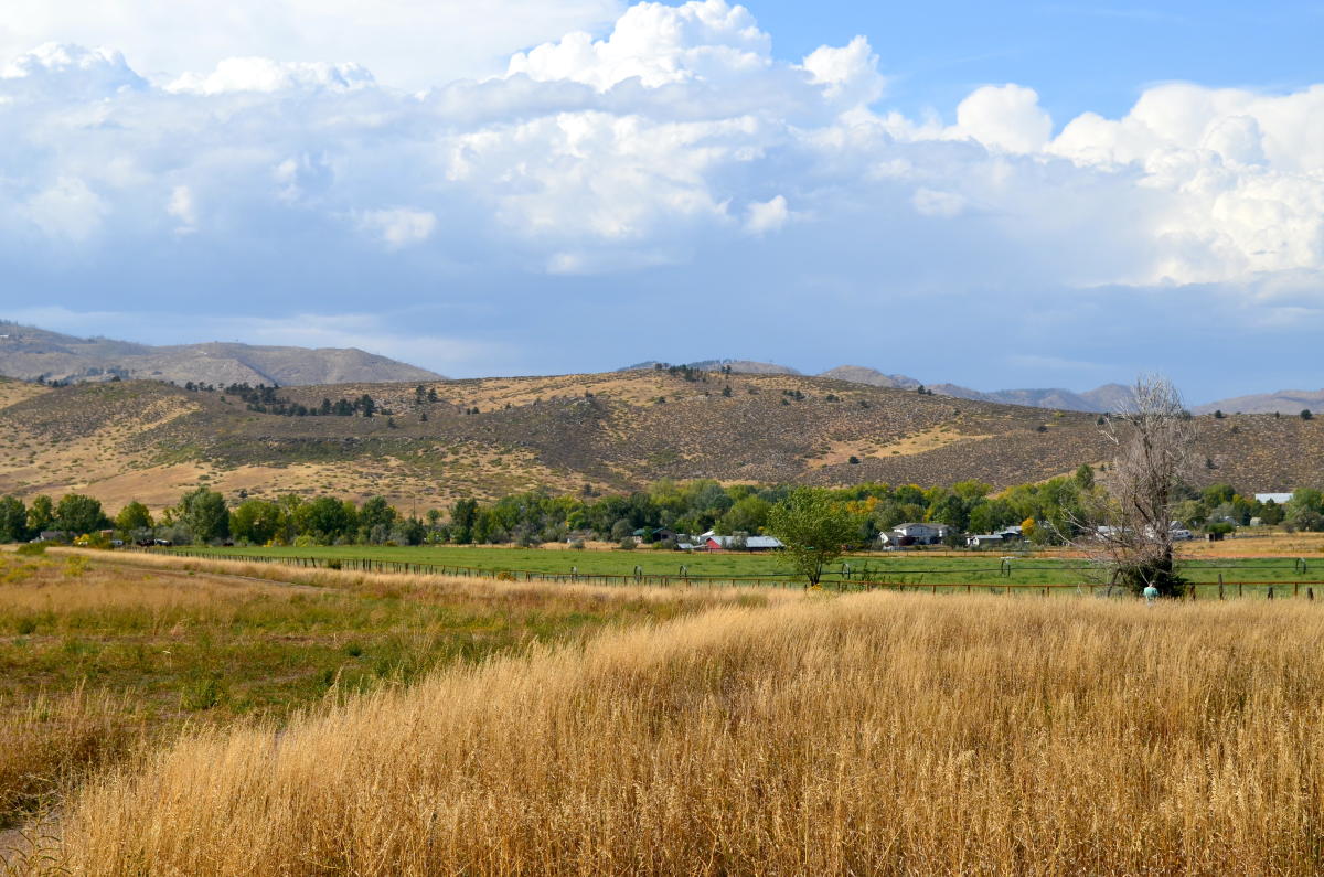 Fort Collins Natural Areas | Explore Trails & Wildlife