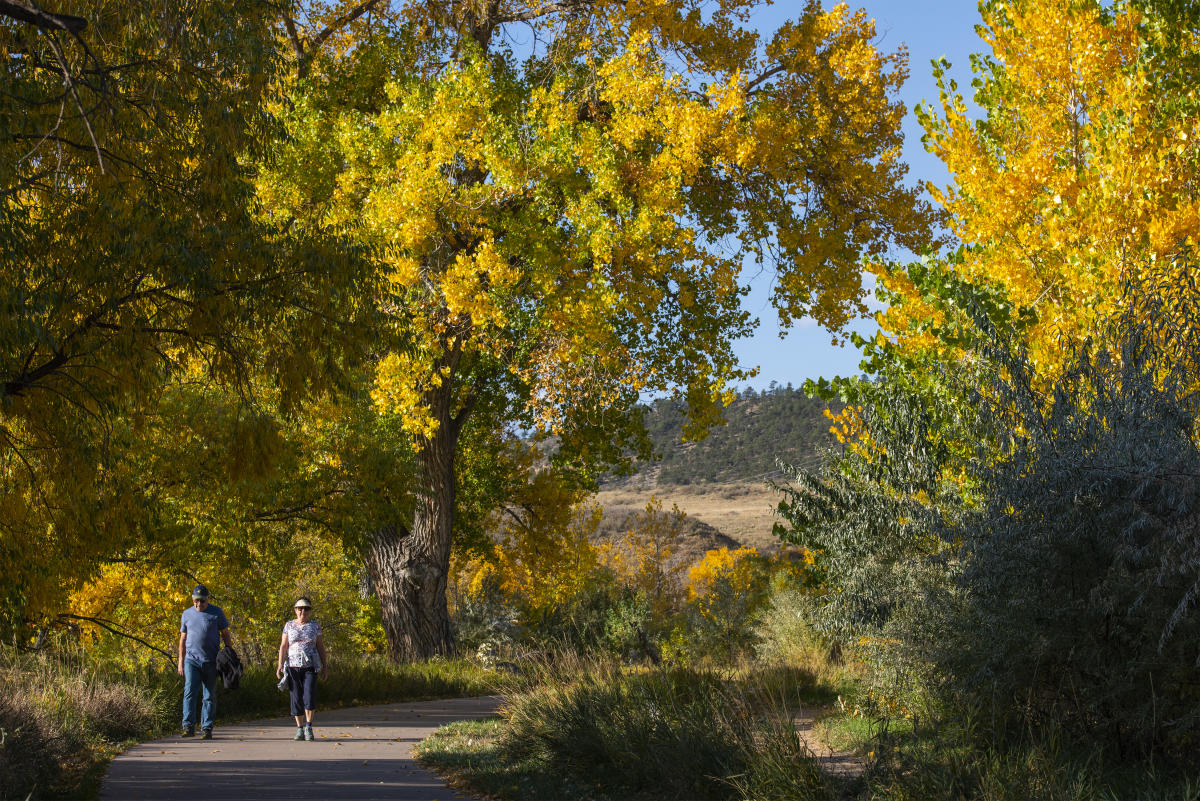 4 Colorful Experiences in Fort Collins