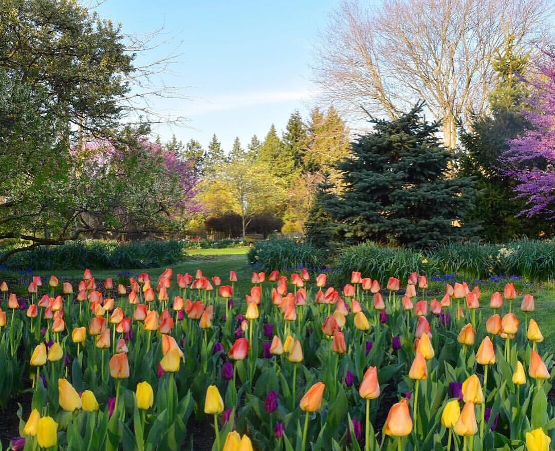 A Floral Guide to Fort Wayne, Indiana | Visit Fort Wayne