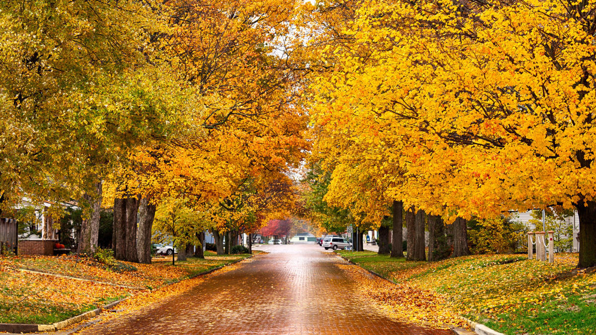 Fall Fun | Northeast Indiana Road Trips