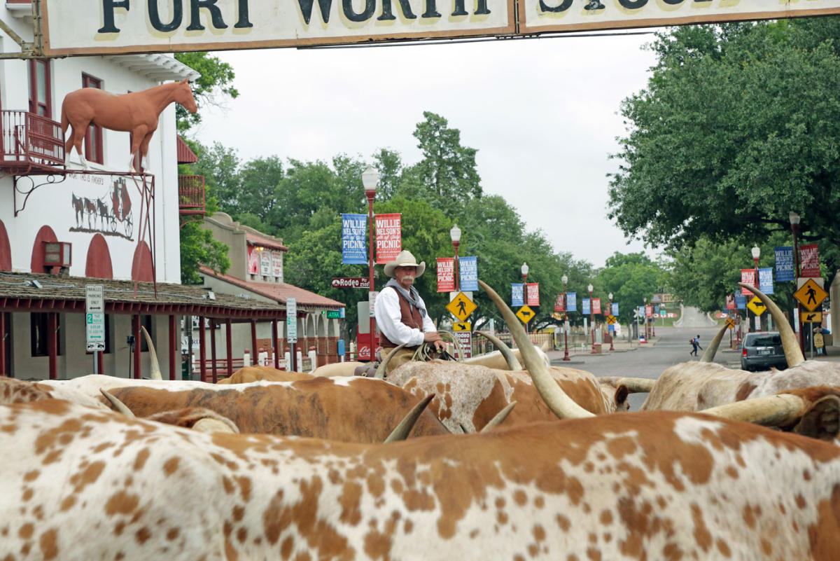 Western Experience in Fort Worth | Stockyards & Rodeos